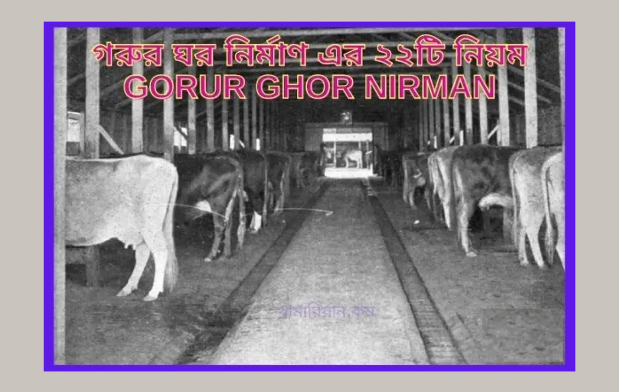 গরুর ঘর নির্মাণ এর ২২টি নিয়ম (gorur ghor nirman) » ইনফরমেশন বাংলা ডটকম